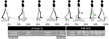 Locomotion vs. Movement - 知乎