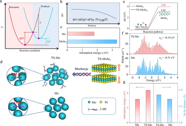 低温钠离子电池！曹敏花团队最新Nature子刊：应变调控MoSe₂ - 知乎