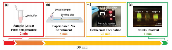 Advanced Science : POCT感染核酸检测新平台 - 知乎