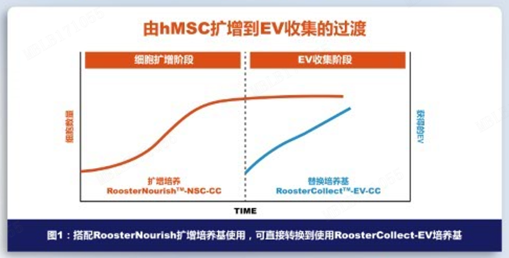 RoosterBio间充质干细胞培养基：无异源成分且节本高效的hMSCs培养之选 - 知乎