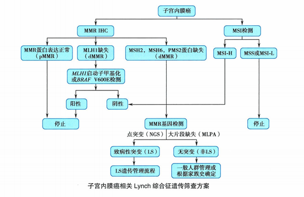 2022 CSCO子宫内膜癌诊疗指南丨MSI检测助力子宫内膜癌精准诊疗 - 知乎