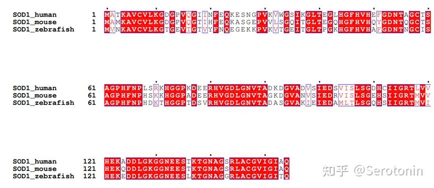 用ESPript 3.0做出好看的多重序列比对图（1） - 知乎