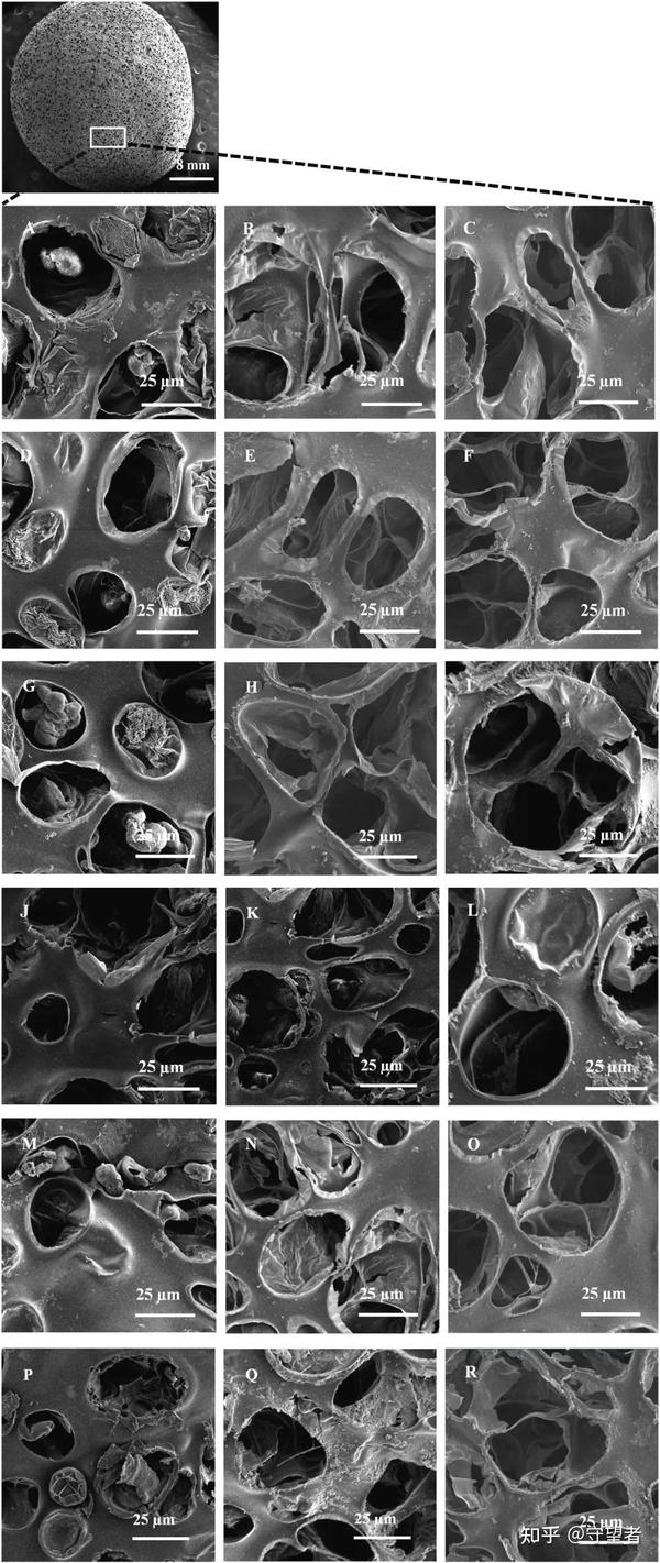 Food Hydrocolloids：被包封在壳聚糖-植酸钠胶囊中的淀粉性质和体外消化性 - 知乎