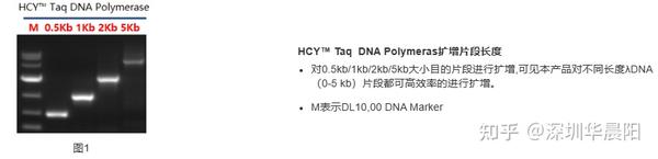 HCY Taq DNA聚合酶介绍：充分实现高效DNA扩增 - 知乎