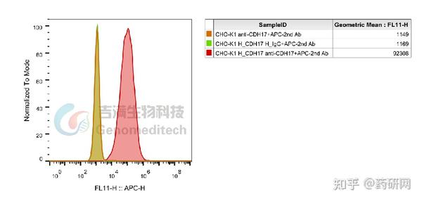 消化道肿瘤靶点新星：CDH17 - 知乎