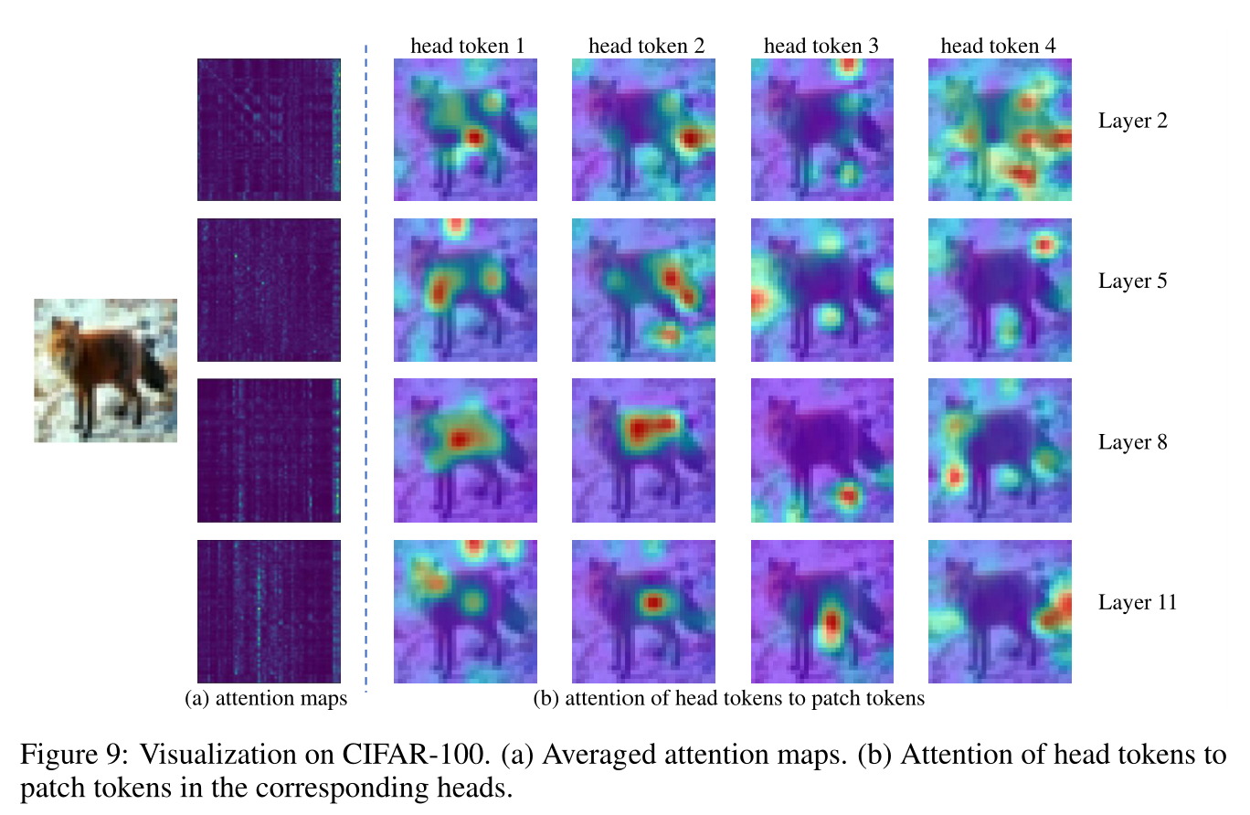 Bridging the Gap Between Vision Transformers and Convolutional Neural Networks on Small Datasets ...
