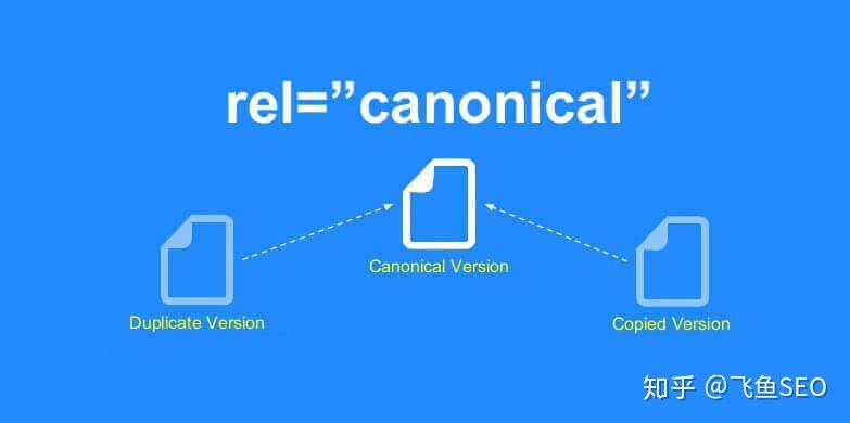 【SEO网站优化】—canonical标签的使用技巧 - 知乎