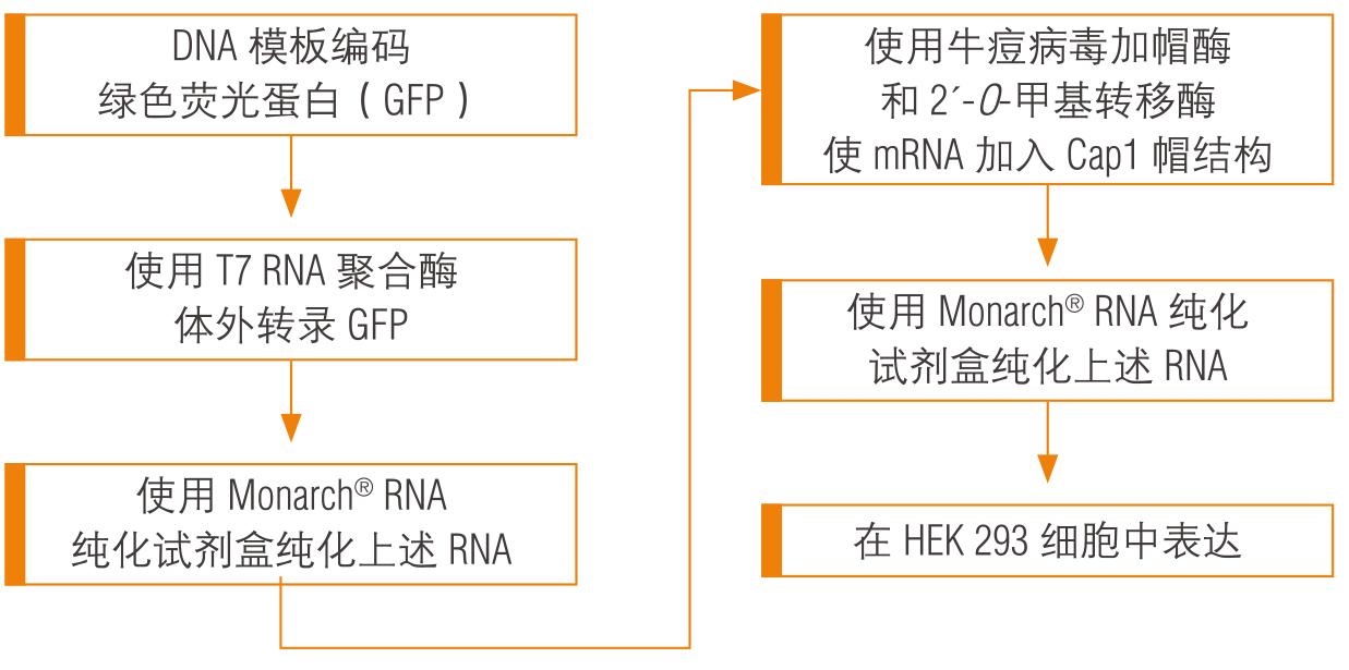 RNA 合成专题（五）：GMP 级别 RNA 合成原料 - 知乎