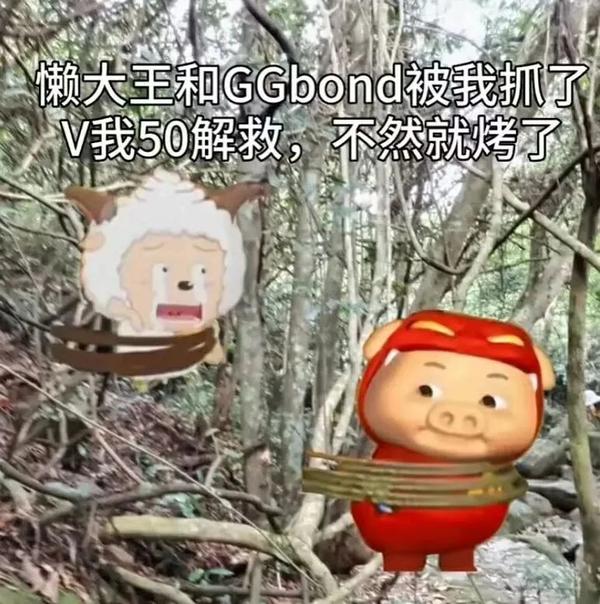 热门猪猪侠：美丽的小姐我叫Bond,GGBond表情包 - 知乎