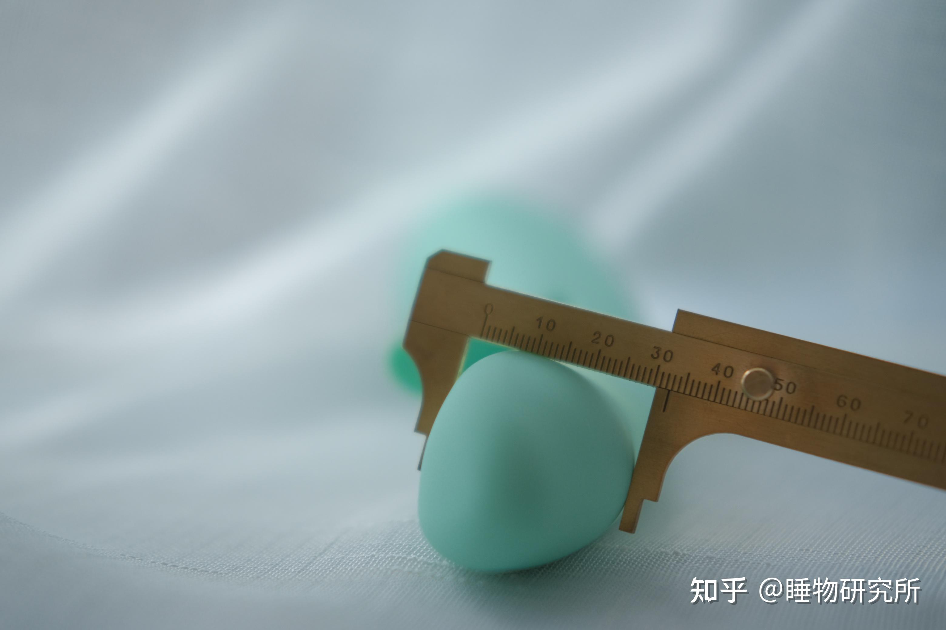 睡物测评Vol.40——TITILLO萌芽 - 知乎