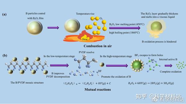 李凤生教授团队、刘杰老师课题组CEJ论文：具有协同耦合催化效应的镶嵌式B/PVDF高反应活性微结构的构筑及性能研究 - 知乎