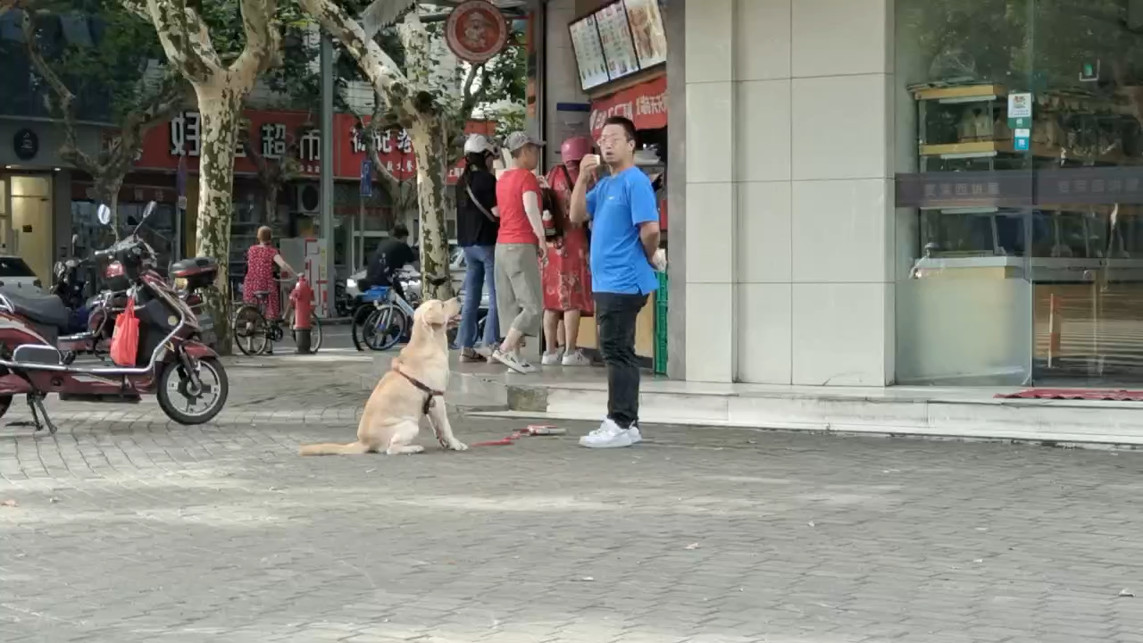 健身房里的 胖教练们” 知乎
