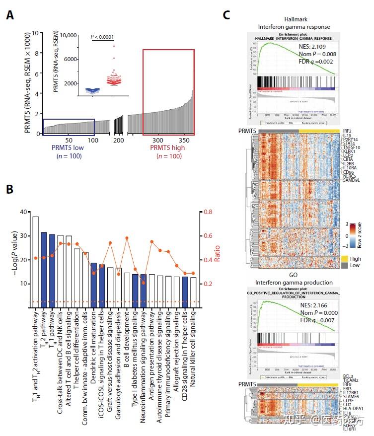 PD-1抗体“新搭档”——PRMT5抑制剂 - 知乎