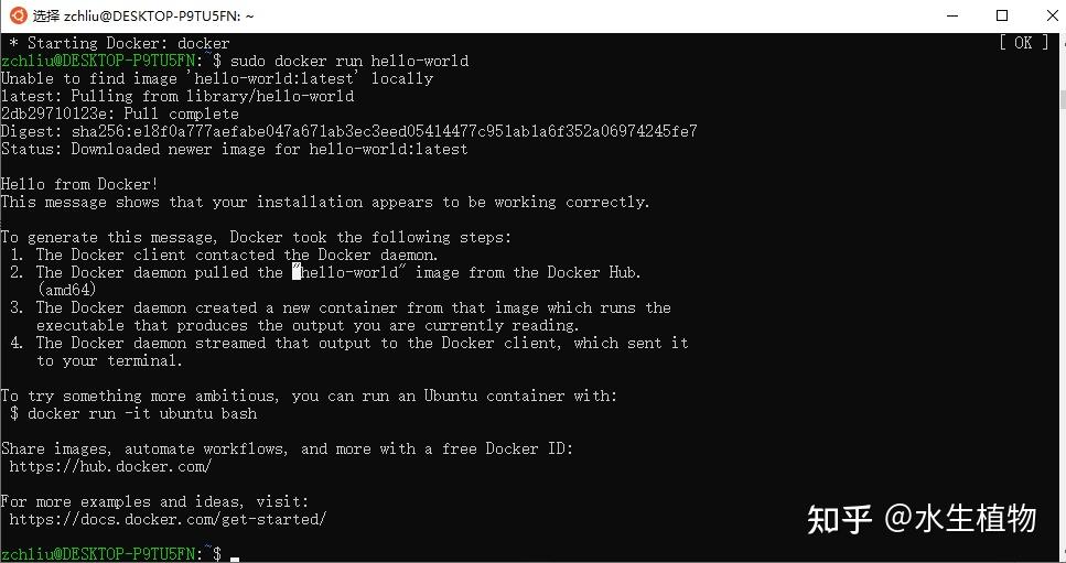 在windows上配置vitis-AI环境 - 知乎