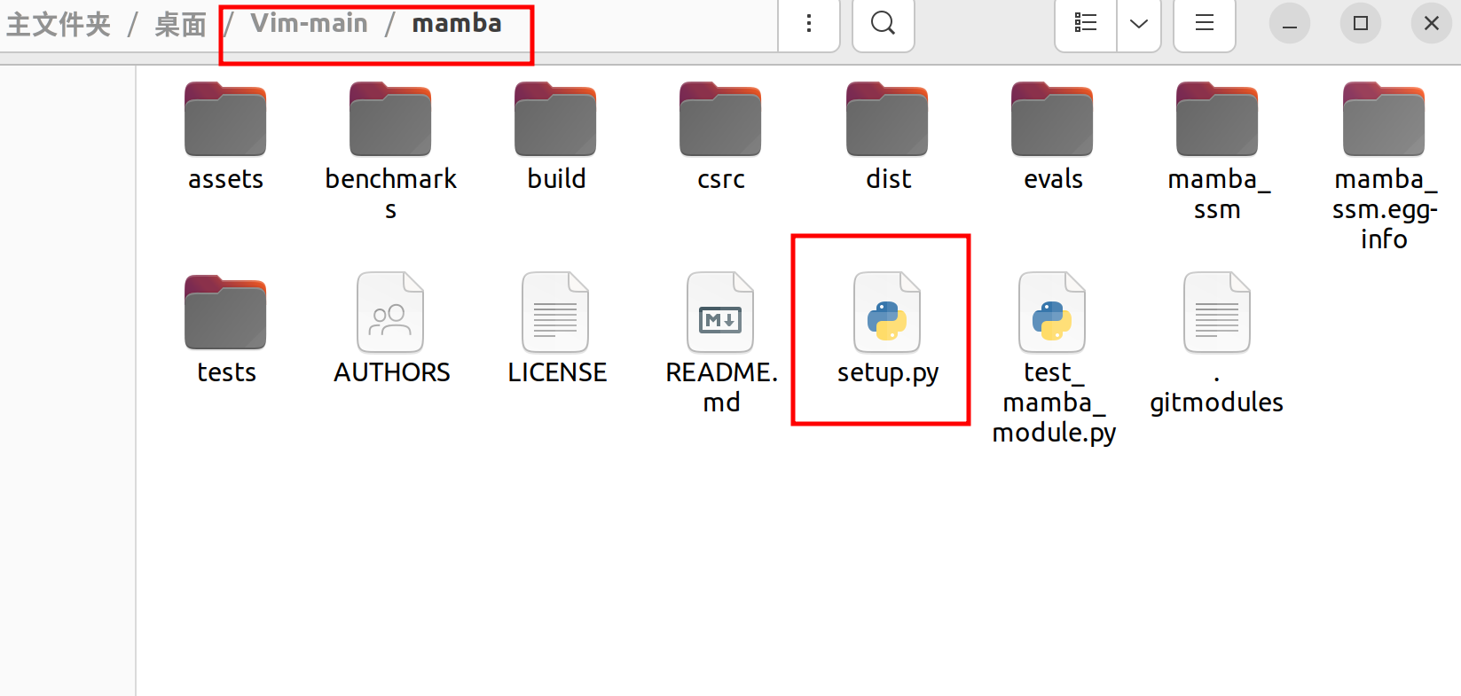 EfficientVMamba实战：使用EfficientVMamba实现图像分类任务（一） - 知乎