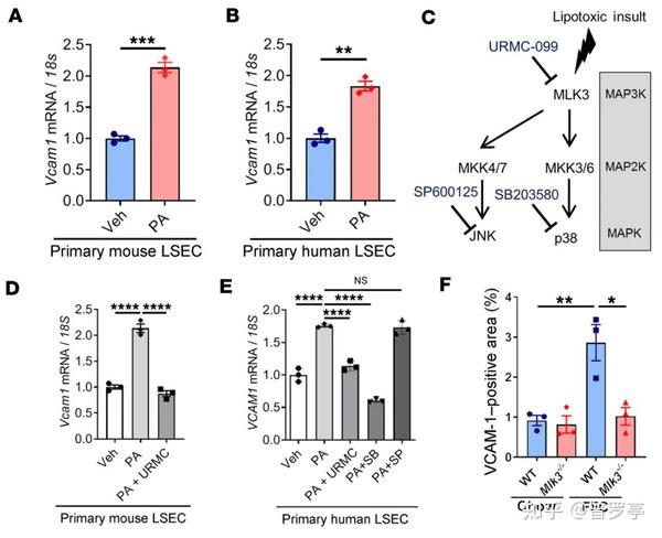 【文献分享，IF=19.456】多组学解析非酒精性脂肪性肝炎发病机制 - 知乎