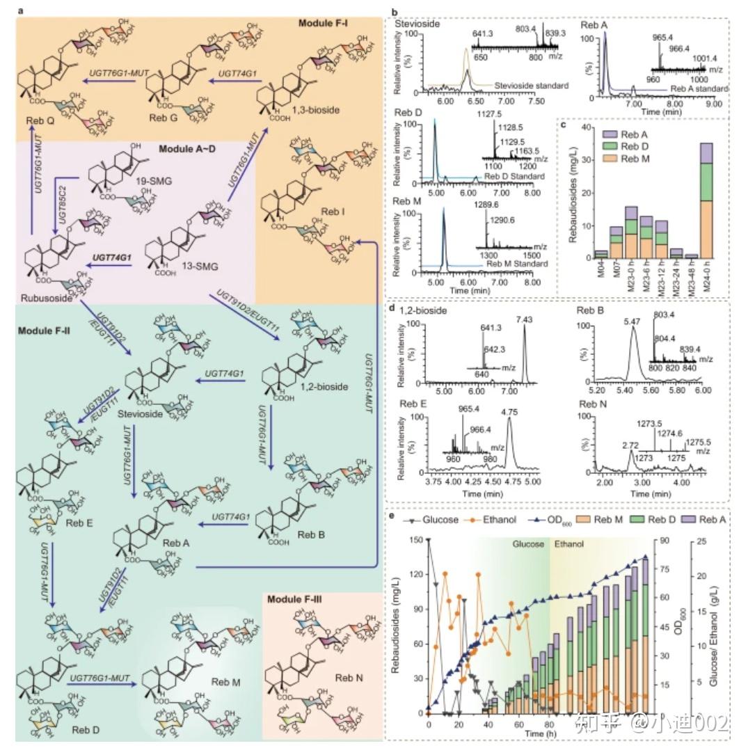 生物反应器应用 | 天然代糖甜菊糖苷酵母底盘细胞生物合成 - 知乎