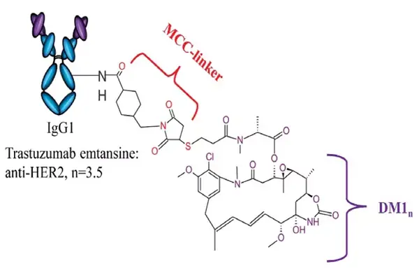 一文读懂全球已批准的14款ADC药物及偶联技术 - 知乎