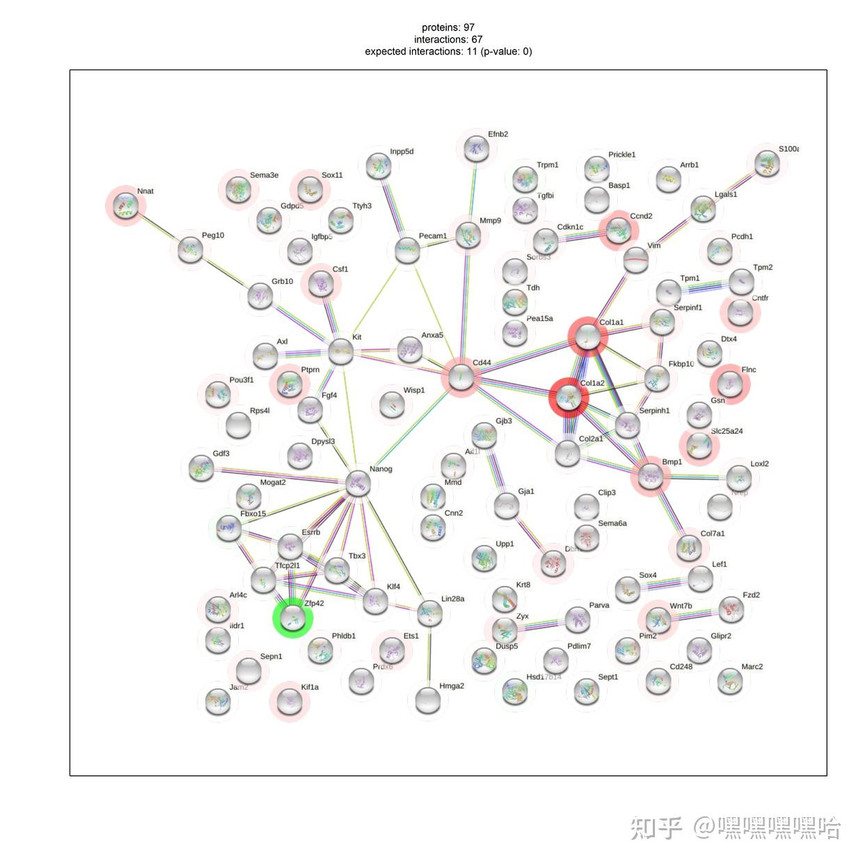 RNA-seq入门实战（九）：PPI蛋白互作网络构建（上）——STRING数据库的使用 - 知乎