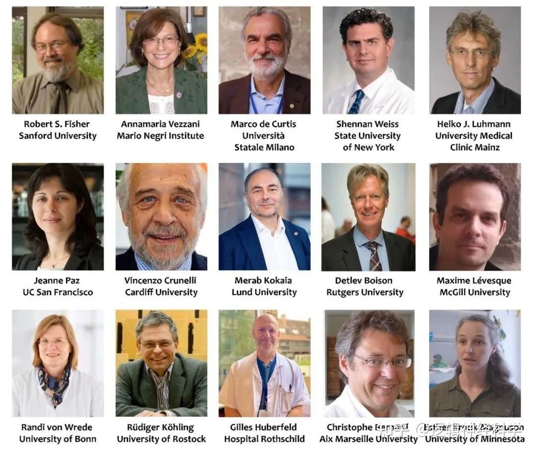 Neurobiol Dis︱浙江中医药大学陈忠/汪仪/加拿大麦吉尔大学Massimo Avoli联合召集癫痫专题文章 - 知乎