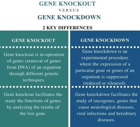 Knockout vs Knockdown - 知乎