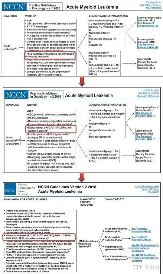 NCCN指南解读——基因突变检测，促进AML患者个体化治疗！ - 知乎