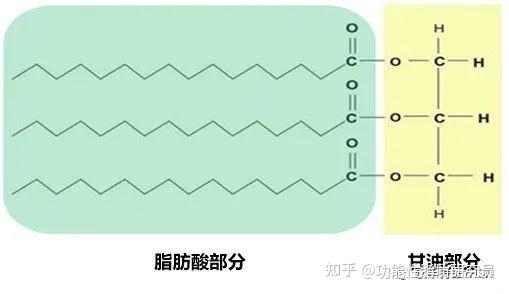 MCT、DAG、MLCT和CLA都能减脂，该怎么选？ - 知乎