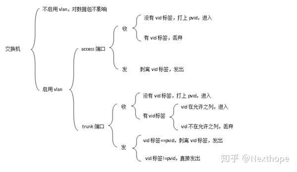 access口和trunk口，pvid，vlan - 知乎