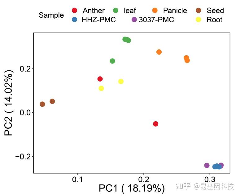 易基因｜PBJ文章：微量ChIP-seq揭示水稻减数分裂细胞的组蛋白修饰基因转录调控 - 知乎