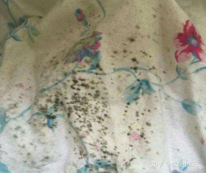 衣服受潮发霉怎么办？教你正确做法，霉斑消失，衣服跟新买的一样 知乎