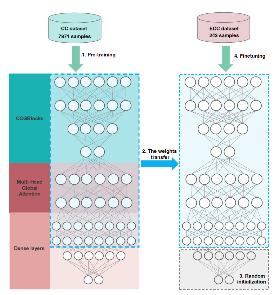 Nat. Commun. | CCGNet：快速发现共晶结构的图神经网络 - 知乎