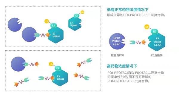 PROTAC技术研发现状及DMPK研究策略概述 - 知乎