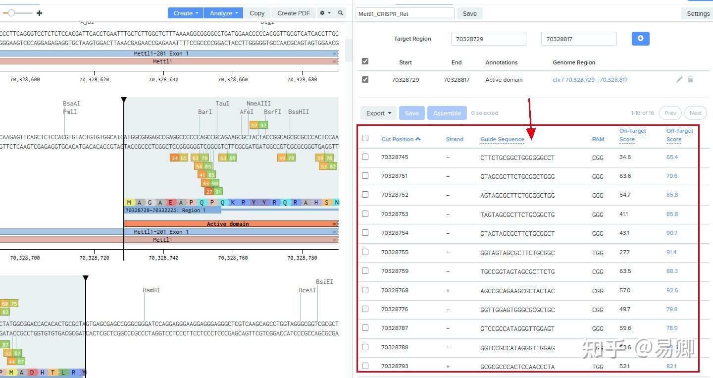 小白快速上手！CRISPR-KO系统的构建 - 知乎