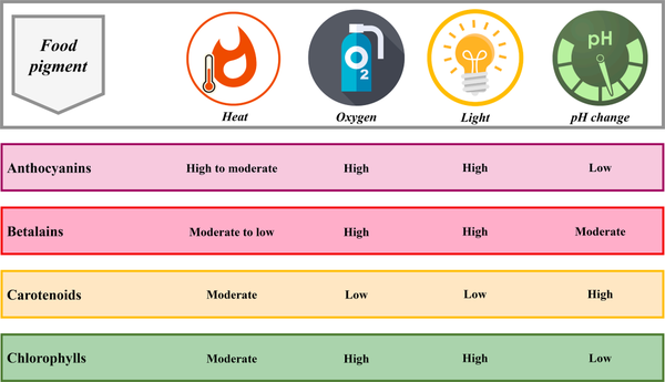 电穿孔生物技术应用（一）：植物色素提取 - 知乎