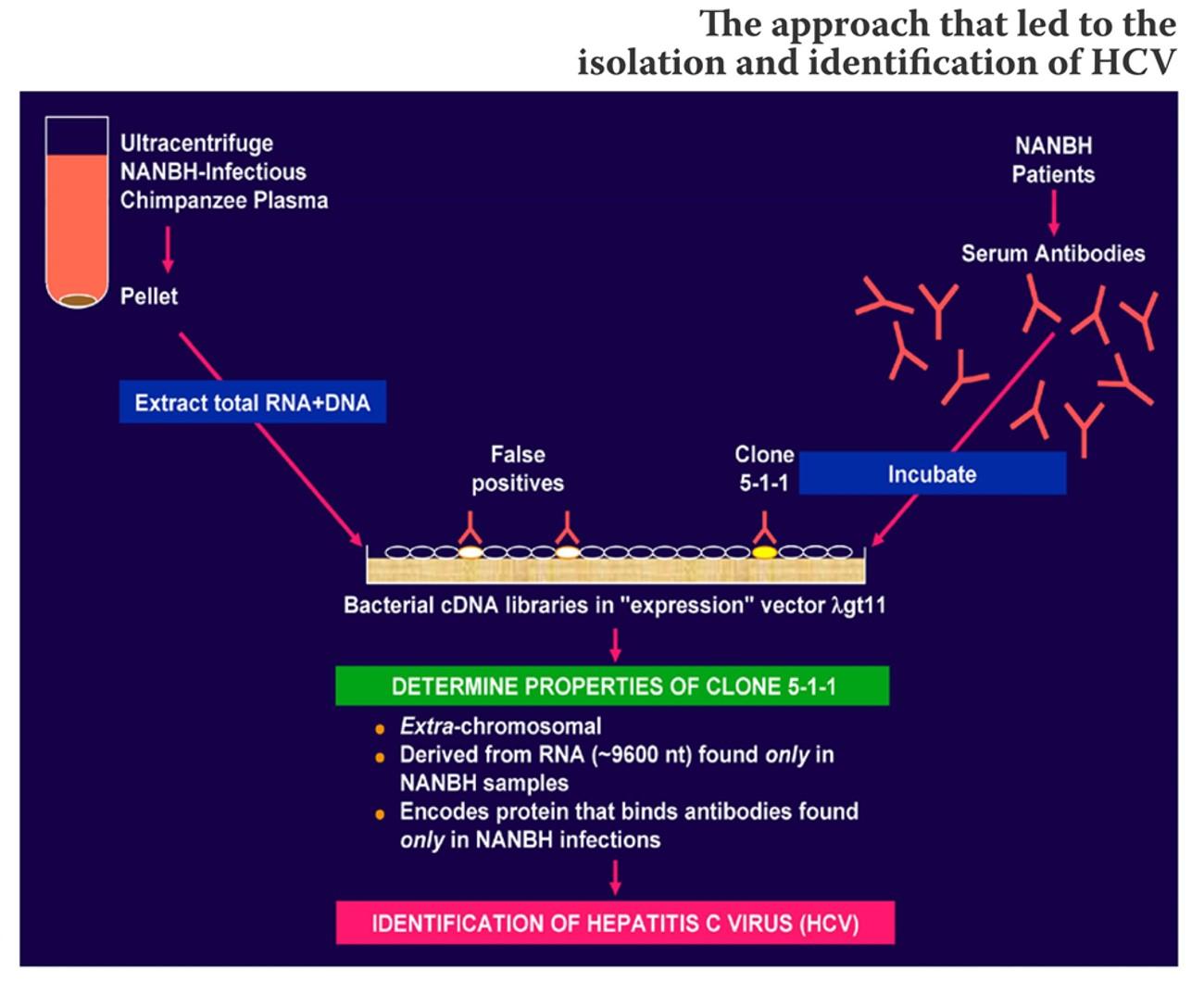 HCV的发现，病毒学的又一次诺奖 - 知乎