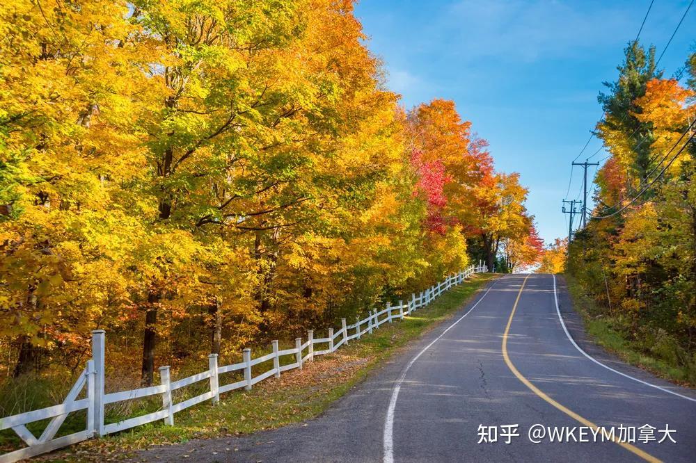 加拿大移民：加拿大迎全年赏枫佳季，奉上赏枫攻略一份 - 知乎