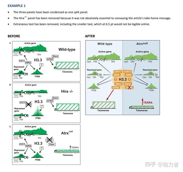 高质量的Graphical Abstract应该这么做，大部分作者都忽视！ - 知乎
