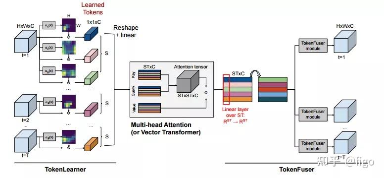 视觉特征学习的新工具TokenLearner: token越少，特征越好 - 知乎