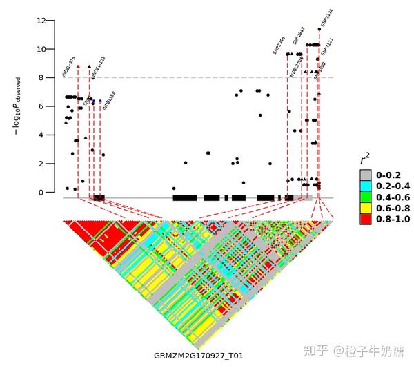 一个R包(IntAssoPlot)，LocusZoom图、连锁不平衡图和基因结构图一步到位 - 知乎