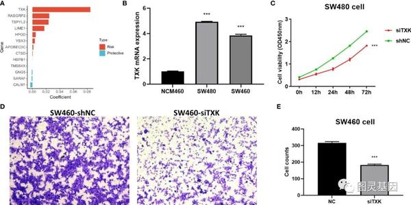 AI+单细胞轨迹分析结肠癌T细胞耗竭 - 知乎