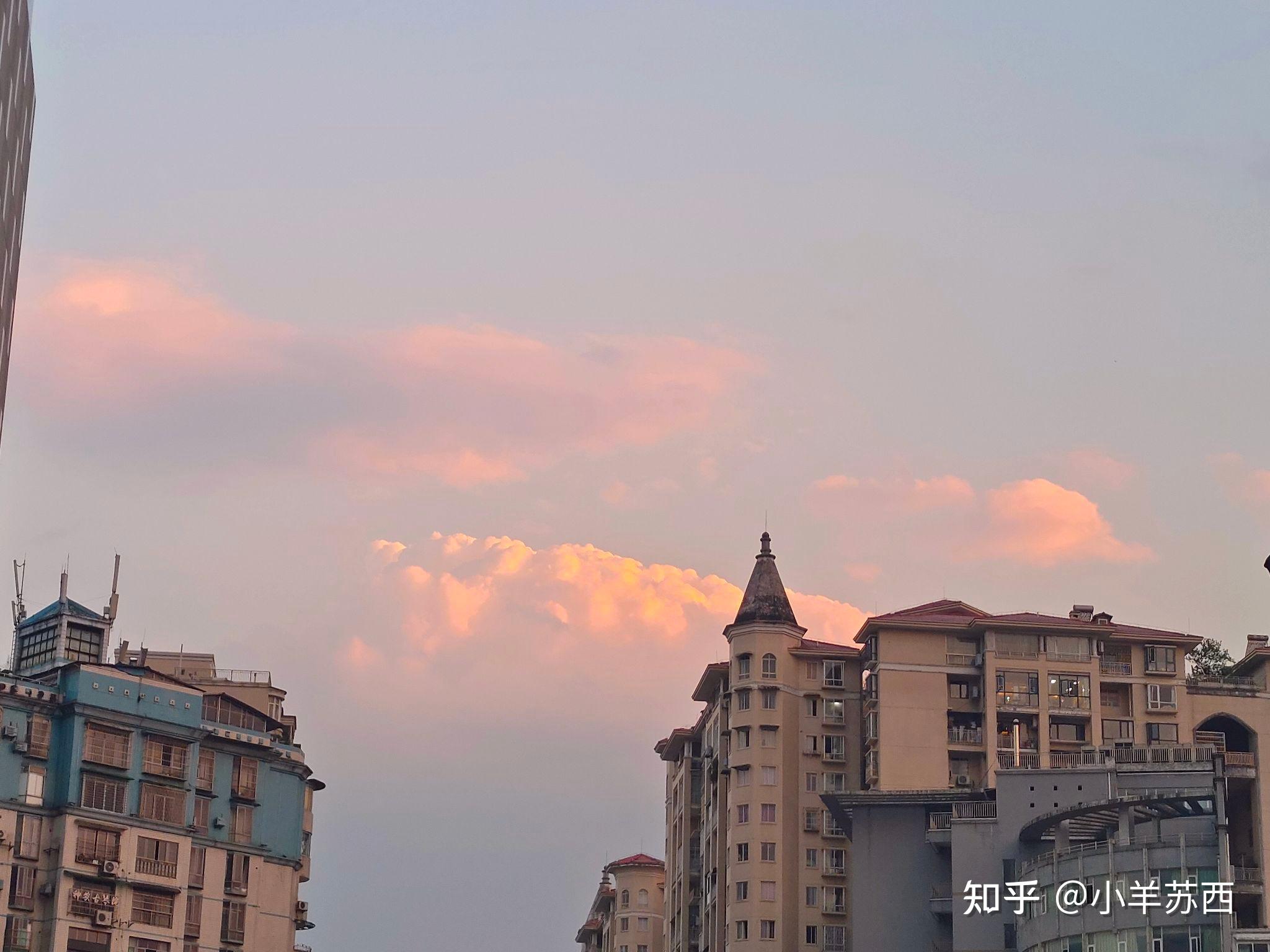什么样的事让你感到治愈？ 知乎