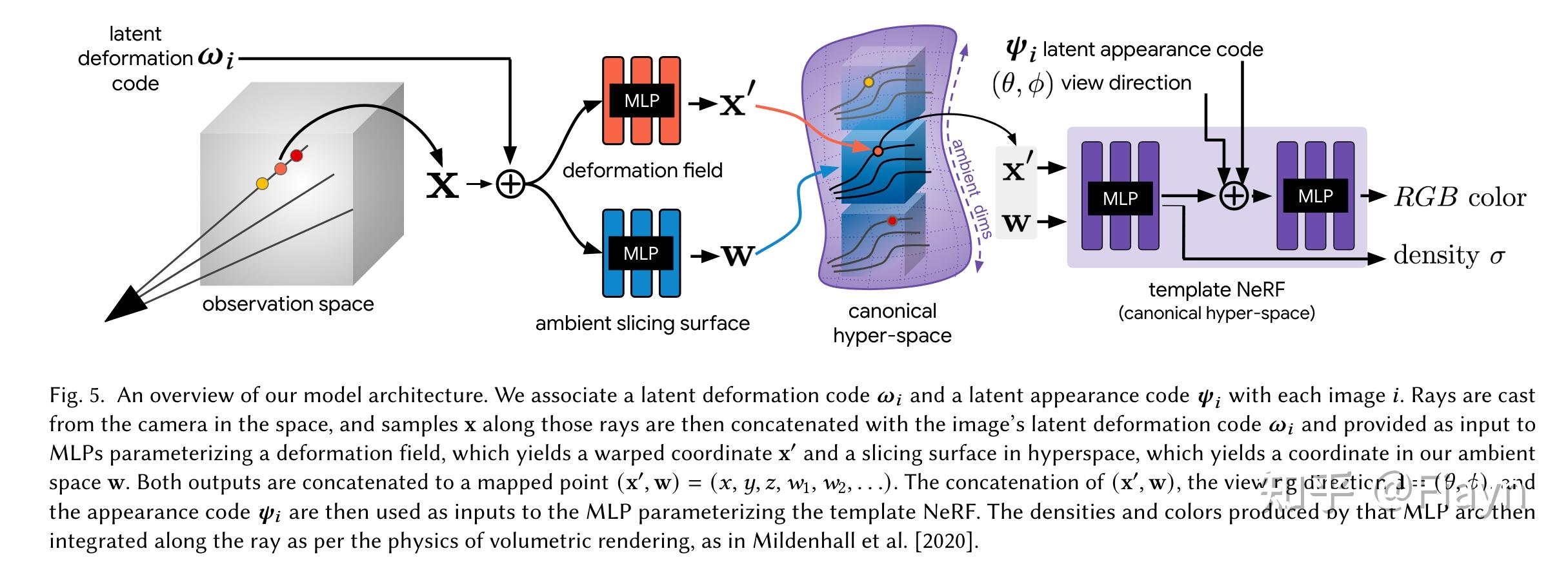 论文随记｜HyperNeRF: A Higher-Dimensional Representation for Topologically Varying Neural Radiance ...