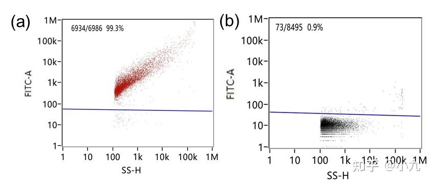 EvLINK+CellLINK双染策略，更真实的外泌体摄取 - 知乎