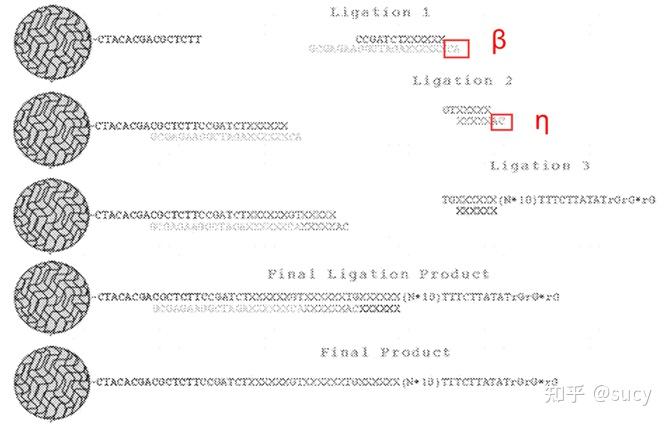 单细胞分离方法与barcode beads设计 - 知乎