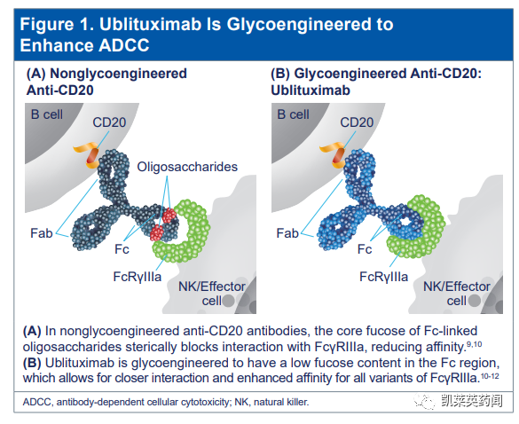 10 年内复发次数小于 1！FDA批准首个用于复发型多发性硬化症的CD20单抗BRIUMVI - 知乎