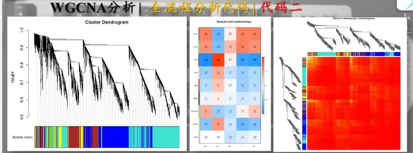 WGCNA分析 | 全流程代码分享 | 代码二 - 知乎