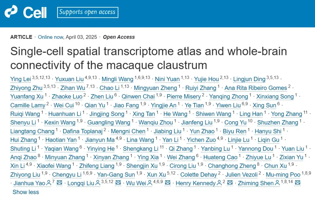 Cell | Stereo-seq助力绘制全球首个猕猴屏状核多模态图谱，揭秘意识关键脑区 - 知乎