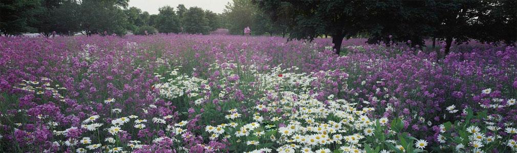 英语短语词组（36）bear on/upon； have a bearing on - 知乎