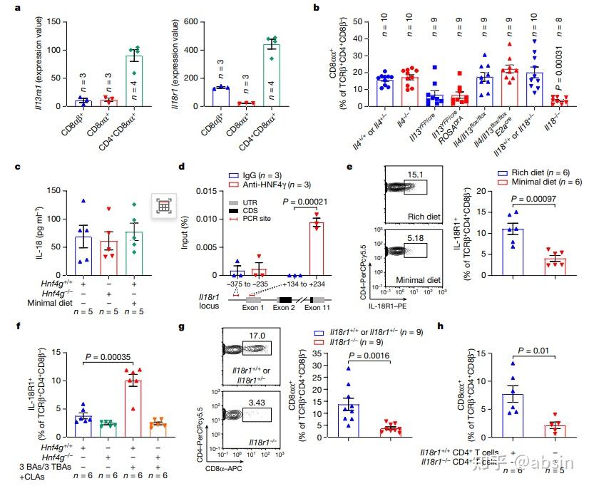 Nature（IF 64.8）| 破解免疫谜题！肠道菌群脂肪酸异构化对上皮内T细胞的调节机制 - 知乎