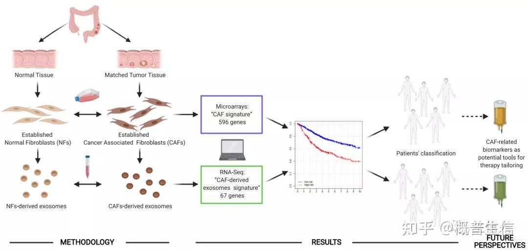 火爆全网的癌症相关成纤维细胞(CAF)最全面总结 - 知乎